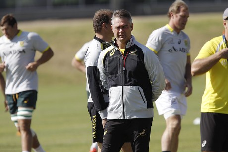 Springbok Rugby Team Coach Heyneke Meyer Editorial Stock Photo - Stock ...