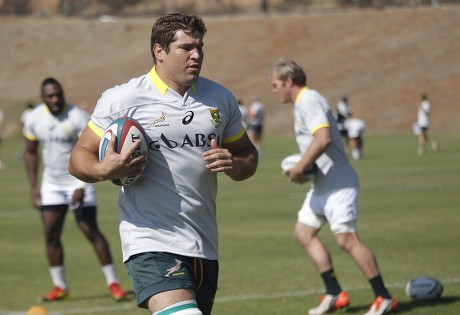 Springbok Player Willem Alberts Trains Rest Editorial Stock Photo ...