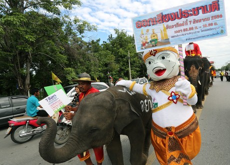 Thai Elephant Next Mahout L Hanuman Editorial Stock Photo - Stock Image ...