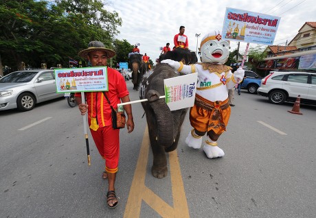 Thai Elephant Next Mahout L Hanuman Editorial Stock Photo - Stock Image ...