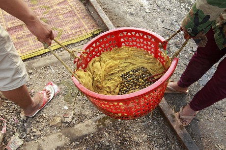 Cambodian Sellers Carry Basket Shell Crossing Editorial Stock Photo ...