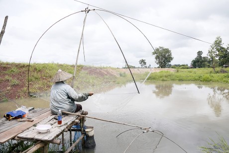 Laotian Catch Fish Using Fishing Net Editorial Stock Photo - Stock ...