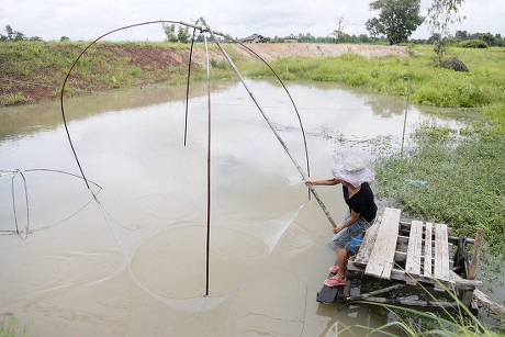 Laotian Catches Fish Using Fishing Net Editorial Stock Photo - Stock ...