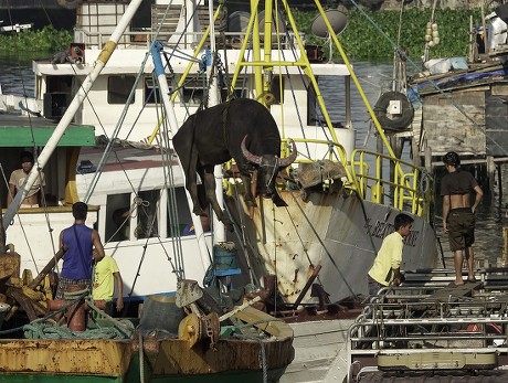 Philippines Southeast Asia Pirates - Sep 2016 Stock Pictures, Editorial ...