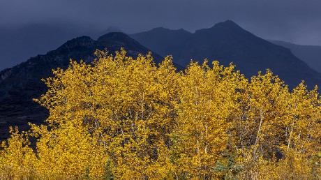August 25 2016 Autumn Color Foreboding Editorial Stock Photo - Stock ...