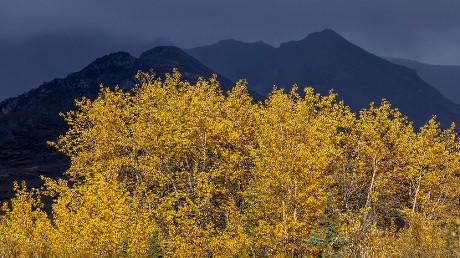 August 25 2016 Autumn Color Foreboding Editorial Stock Photo - Stock ...