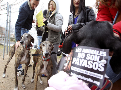 Activists Dogs Protest Banner Reading Animals Editorial Stock Photo ...
