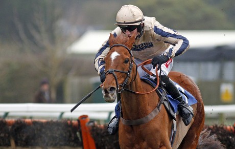Seas Green Ciaran Gethings Wins Totepool Editorial Stock Photo - Stock ...