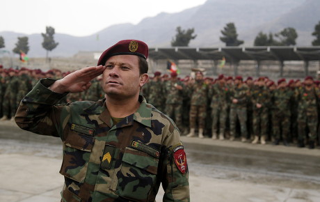 Afghan Special Force Commando Unit Officers Editorial Stock Photo ...