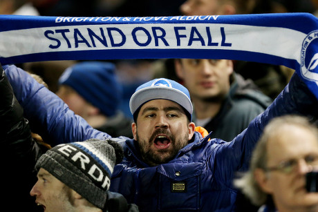 Brighton Fan Holds Flag Words Stand Editorial Stock Photo - Stock Image ...