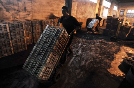 Workers Transport Boxes Coal Briquettes Briquette Editorial Stock Photo ...