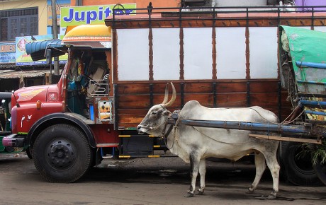 Different Modes Sri Lankan Transportation Lorry Editorial Stock Photo ...