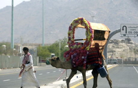 Saudi Camel Man His Animal Destined Editorial Stock Photo - Stock Image ...