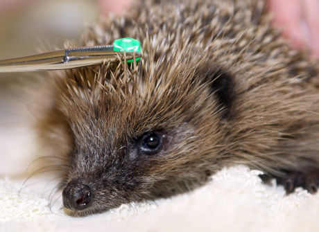 __COUNT__ New bead-tagging monitoring system being tested out on ...