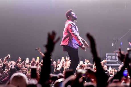 __COUNT__ The Weeknd in concert, Paris Bercy Accor Hotels Arena, France ...