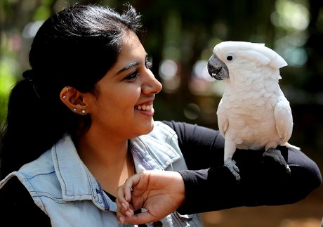 Indian Pet Lover Swetha Poses Her Editorial Stock Photo - Stock Image ...