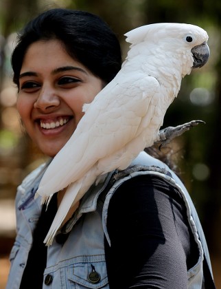 Indian Pet Lover Swetha Poses Her Editorial Stock Photo - Stock Image ...