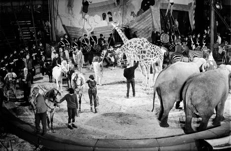 Chipperfields Circus Oct 1962 Finale Editorial Stock Photo - Stock ...