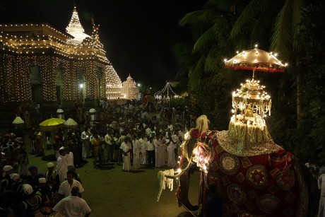Temple Tusker Carrying Sacred Relic Casket Editorial Stock Photo ...