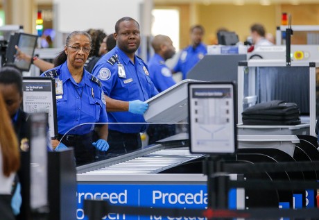 Transportation Security Administration Officers Scan Air Editorial ...