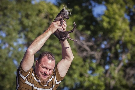 Ugly Dog Contestants Sweepee Rambo Owner Editorial Stock Photo - Stock ...