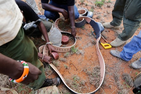 Rangers Kenya Wildlife Service Kws Prepare Editorial Stock Photo ...