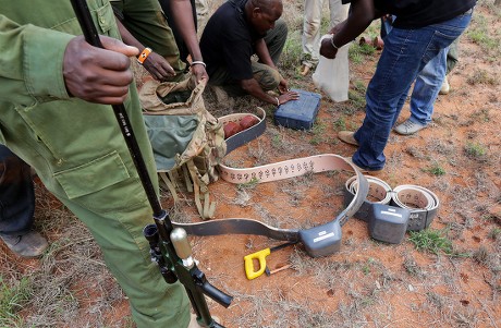 Rangers Kenya Wildlife Service Kws Prepare Editorial Stock Photo ...