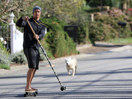 Matthew Mcconaughey Dog Bj Editorial Stock Photo - Stock Image ...