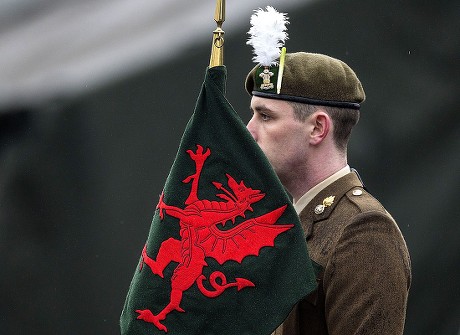 Welsh Guard Displaying Leeks On His Editorial Stock Photo - Stock Image ...