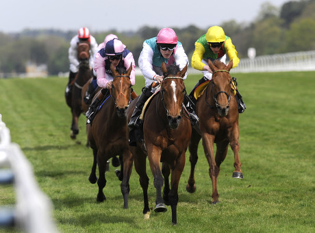 L Geoff Banks One First Bookmakers Editorial Stock Photo - Stock Image ...