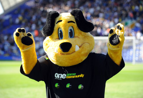 Beau Brummie Mascot Birmingham City United Editorial Stock Photo ...