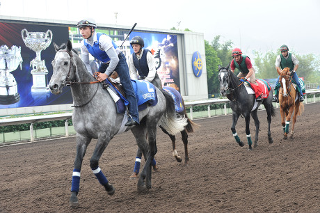 Gallops - Friday - 11 Dec 2009 Stock Pictures, Editorial Images and ...