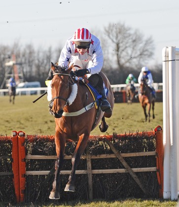 Huntingdon Races - 07 Mar 2010 Stock Pictures, Editorial Images and ...