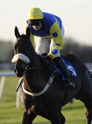 Huntingdon Races - 10 Nov 2010 Stock Pictures, Editorial Images and ...