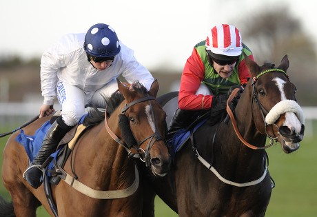 Huntingdon Races - 10 Nov 2010 Stock Pictures, Editorial Images and ...