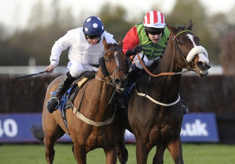 Huntingdon Races - 10 Nov 2010 Stock Pictures, Editorial Images and ...