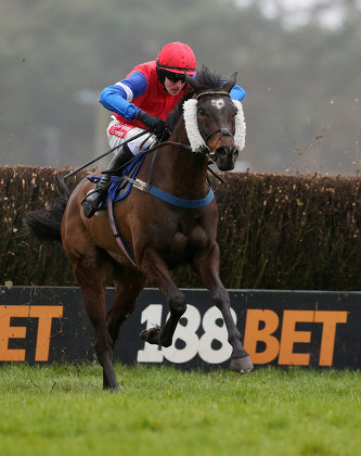 Trainer Colin Tizzard Race 1 220 Editorial Stock Photo - Stock Image ...