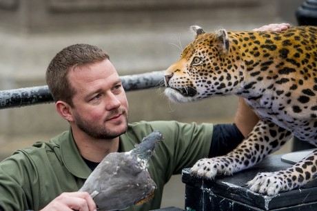 National Geographic Presenter Giles Clark Unveils - Foto de stock de ...