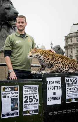 National Geographic Presenter Giles Clark Unveils Editorial Stock Photo ...