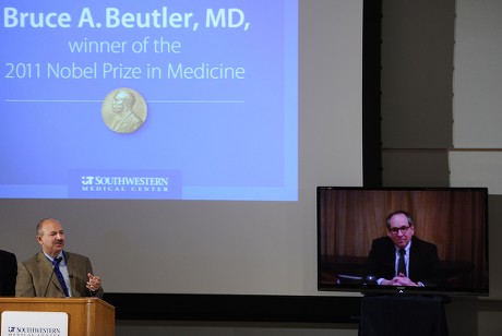 Dr Bruce Beutler L New Director Editorial Stock Photo - Stock Image ...