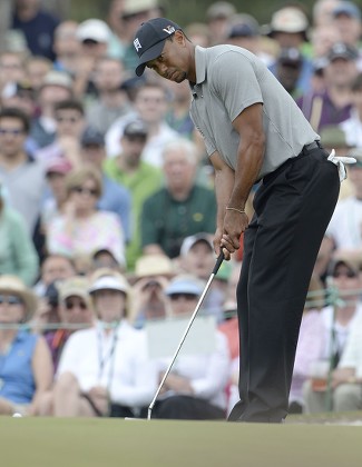 Tiger Woods Us Putts On Seventh Editorial Stock Photo - Stock Image ...