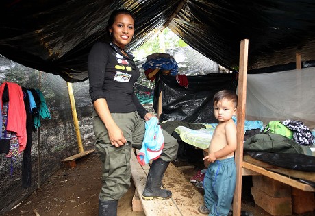 500 Guerrilla camp Stock Pictures, Editorial Images and Stock Photos ...