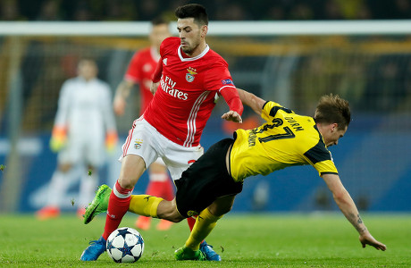 Benficas Pizzi L Action Against Dortmunds Editorial Stock Photo - Stock ...