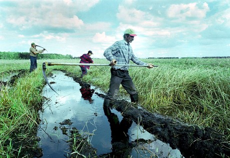 Workers Kolkhoz Collective Farm Polesye Collect Editorial Stock Photo ...