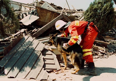 German Rescue Team Member Gives Instructions Editorial Stock Photo ...