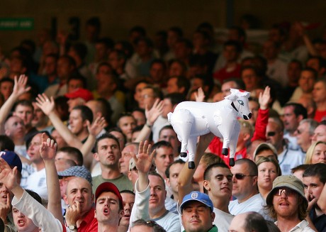 8 Blow up sheep Stock Pictures, Editorial Images and Stock Photos ...