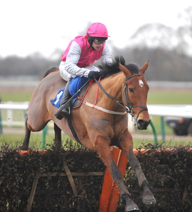 __COUNT__ Warwick Races - 27 Jan 2010 Stock Pictures, Editorial Images ...