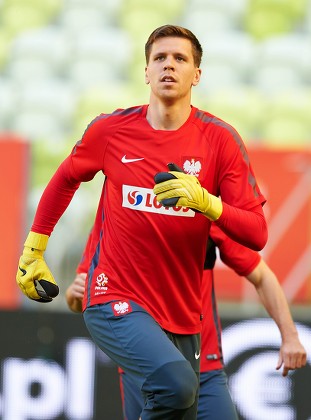 Polish National Soccer Team Goalkeeper Wojciech Editorial Stock Photo ...
