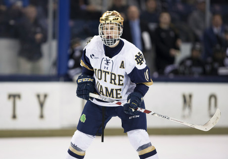 Providence Goaltender Hayden Hawkey 31 Makes Editorial Stock Photo ...