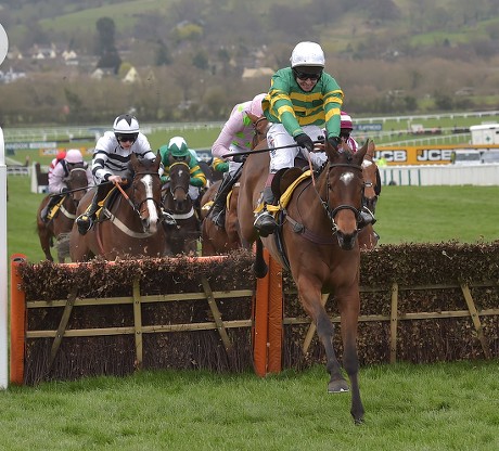Cheltenham Festival, Horse Racing, Cheltenham, UK - 17 Mar 2017 Stock ...